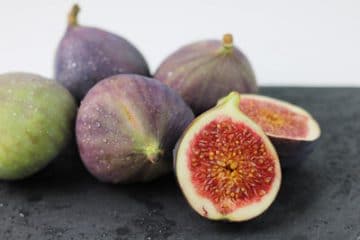 Feigenbaum, Echte Feige, Ficus carica - Pflanzen & Pflege - Gartenrat.de