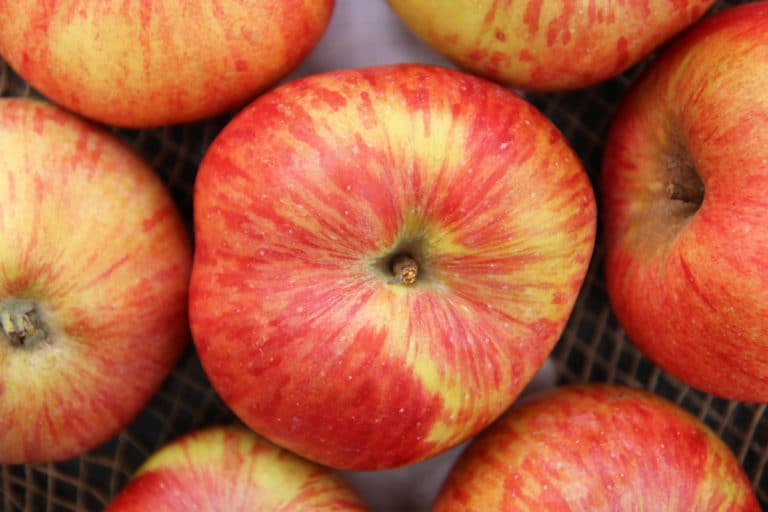 Apfelsorten in Deutschland - Übersicht und Eigenschaften - Gartenrat.de