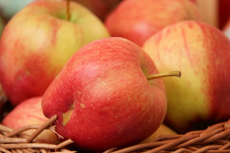Apfelsorten in Deutschland - Übersicht und Eigenschaften - Gartenrat.de