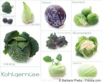 Kohlsorten Liste von A-Z - Kohlgemüse anbauen - Gartenrat.de