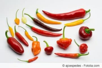 Liste der Chilisorten & Pflege-Tipps - Gartenrat.de