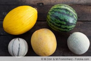 Melonensorten - Liste aller Melonenarten + Anbau-Anleitung - Gartenrat.de